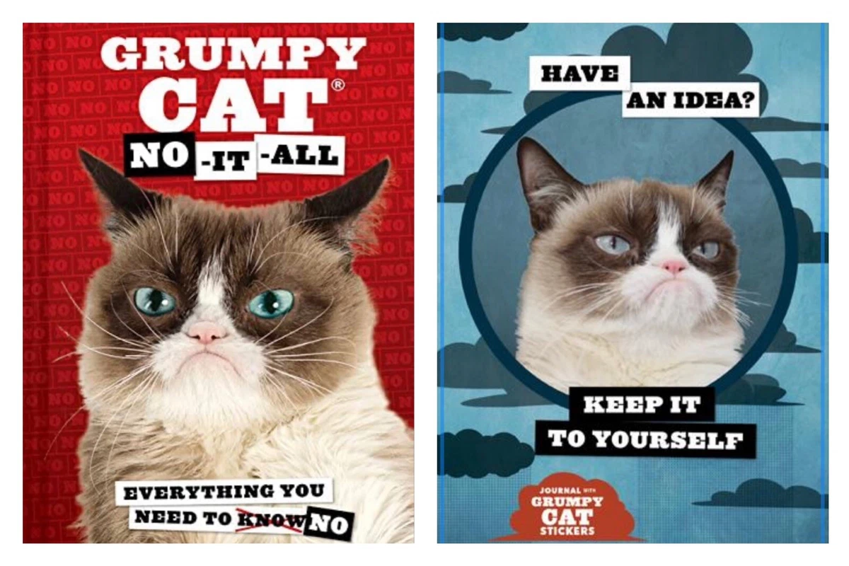 Grumpy Cat No Because No