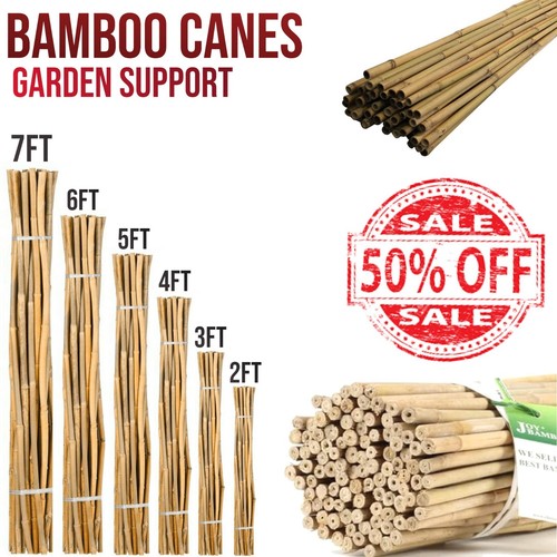 Bamboo Garden Heavy Duty Canes Thick Quality Plant Veg Support Cane ...