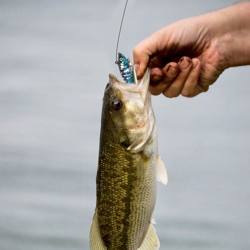 6cm Sequin Bait Soft Texture Angling Bionic Fish Shaped Soft Bait ...