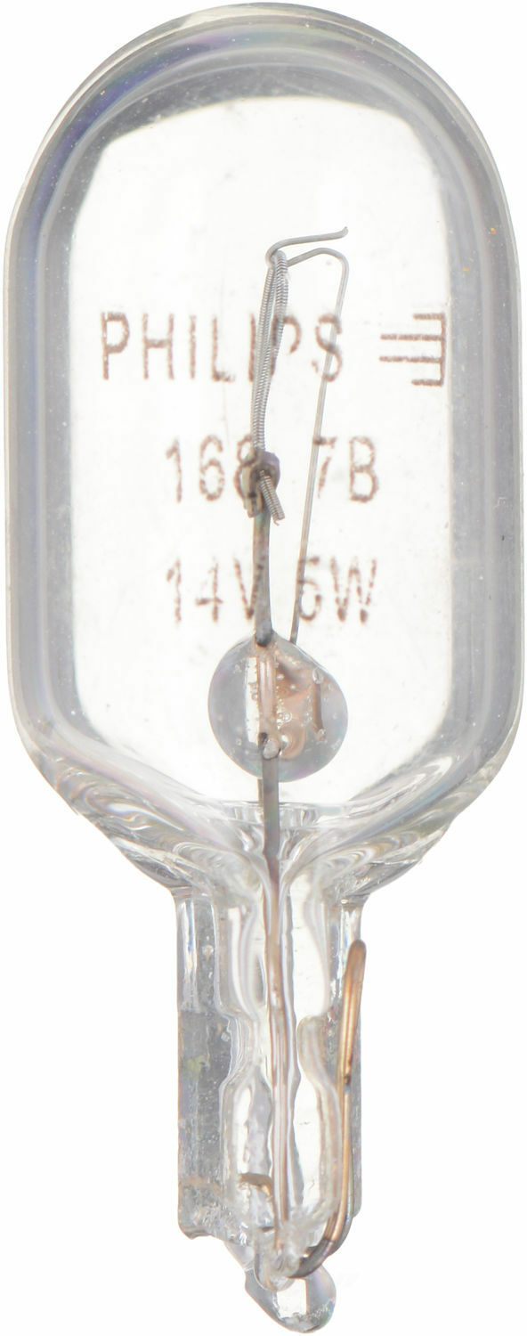 Trunk or Cargo Area Light-Standard - Multiple Commercial Pack Philips ...