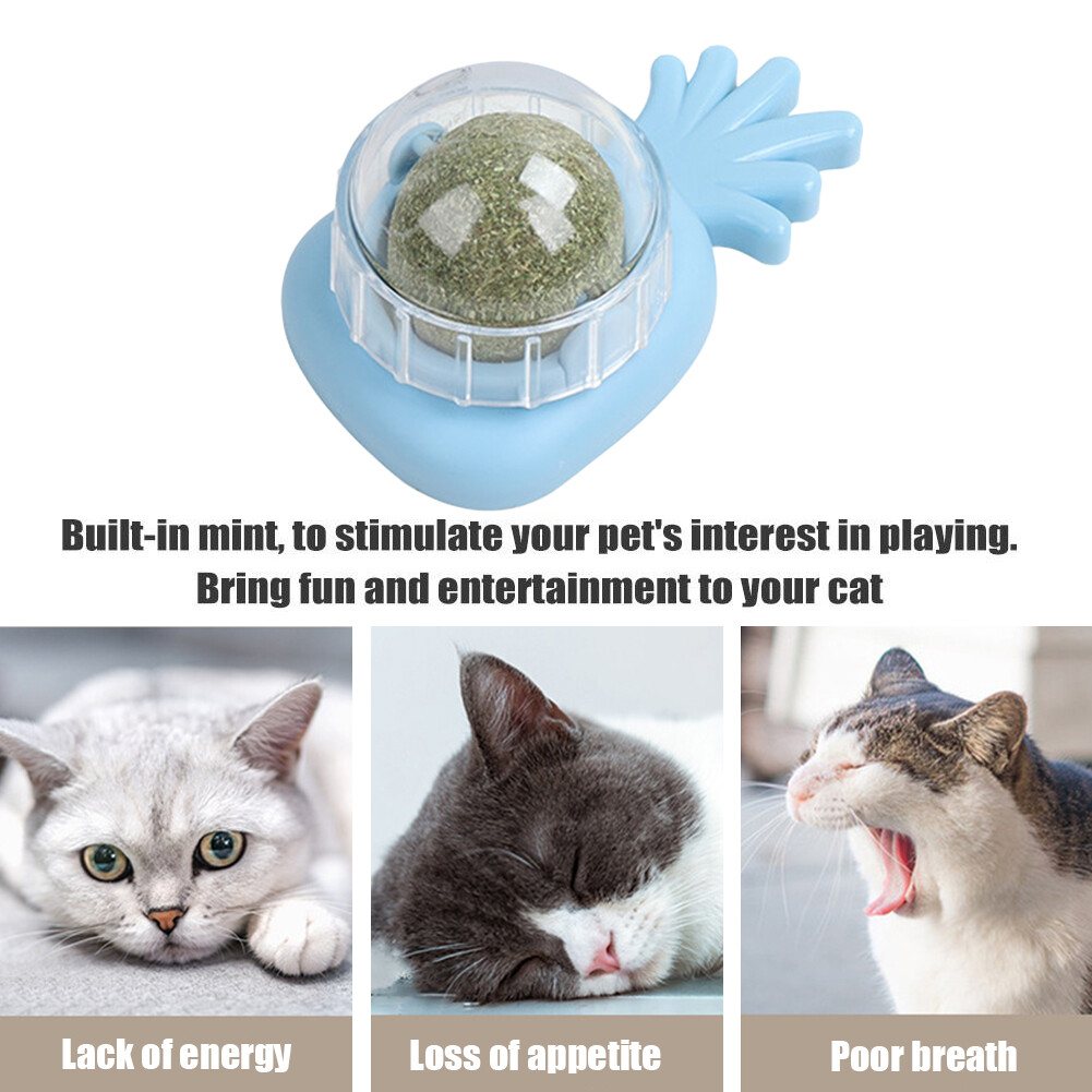 Pineapple Catnip Lickable Ball Interactive Catnip Toys Pet Supplies ...