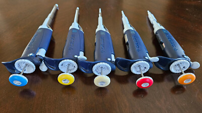 Pipettes - Pipette P1000
