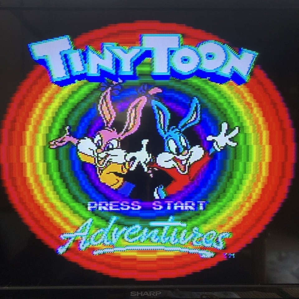 SFC Tiny Toon Adventures Box manual Work confirmed TINY TOON adventures ...