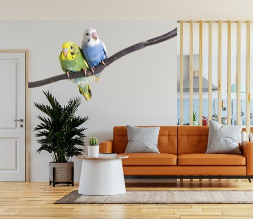 3D Branch Parrot G030 Animal Wallpaper Mural Poster Wall Stickers Decal ...