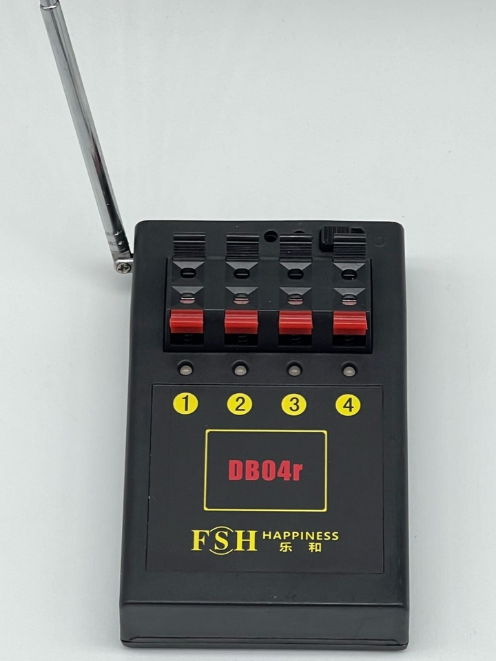 Profession 12 Cue Wireless Fireworks Firing system Remote control-Ships ...