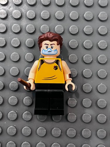 LEGO Harry Potter Visual Dictionary Exc Minifigure Cedric Diggory Only ...