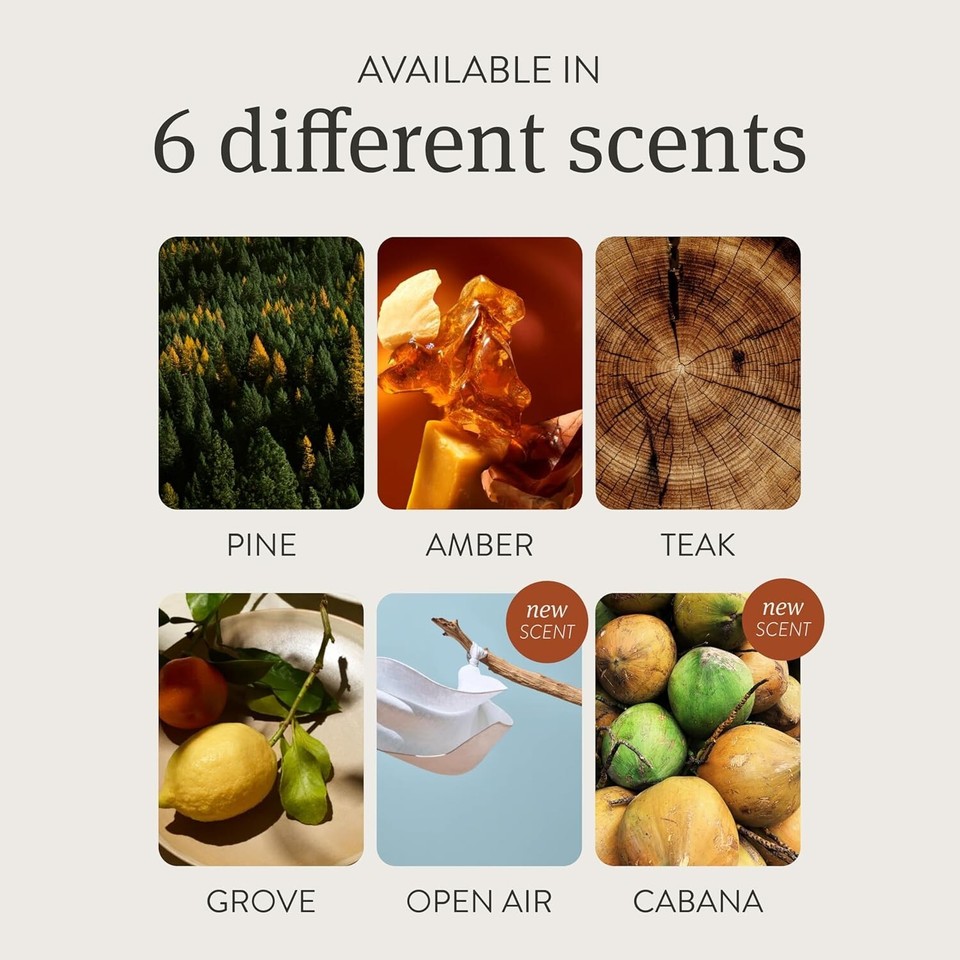 Teak Wood Car Air Freshener Kit – Long Lasting Clip-On Visor Scent ...