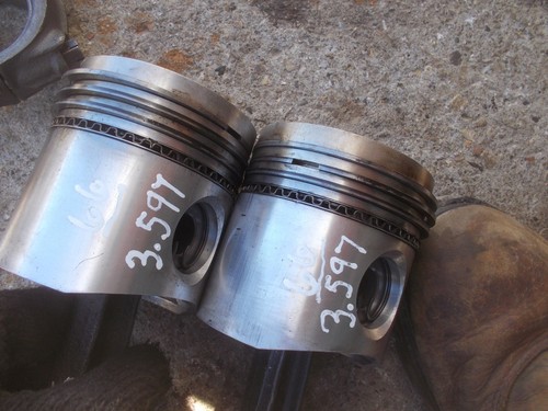 Oliver 66 tractor WHITE 1974-75 244 engine motor 4) pistons rings rods ...