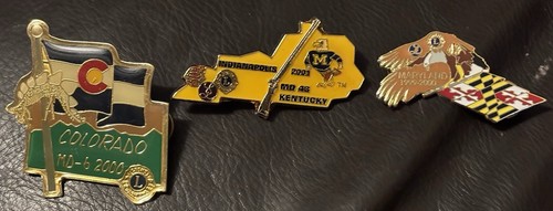 Huge Vintage 24 Piece Lions Club Pins (states) | eBay