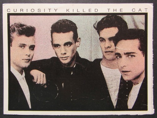 Curiosity Killed the Cat British Pop Band Postcard Posted 1988 No Stamp ...