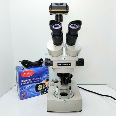 Microscopes - Meiji Microscope