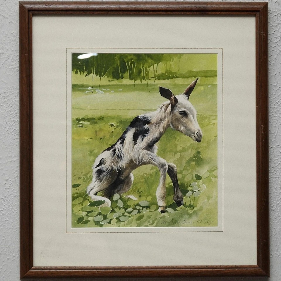 Bruce Harvey New Zealand artist "NEWBORN" Baby Goat Painting Tempura ...