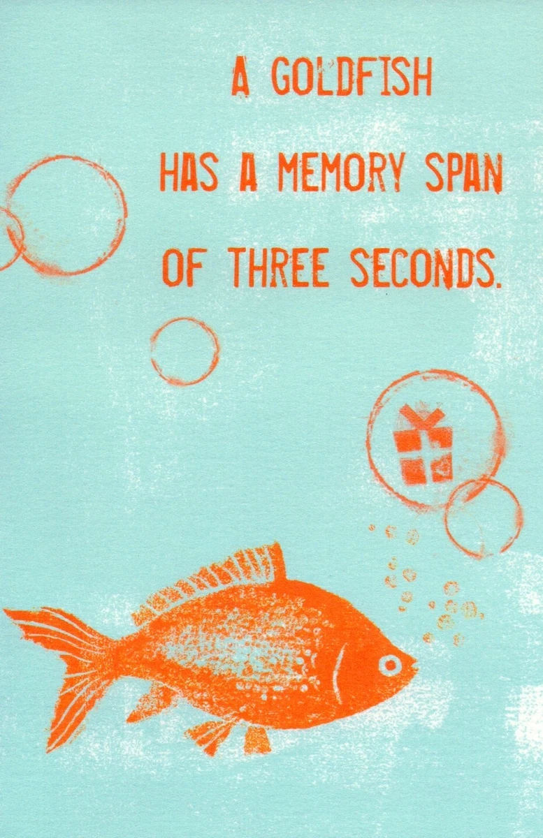 Funny Goldfish Memory