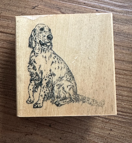 English Setter Vintage Stamp Gallery Dog Breed Sitting Rubber Stamp | eBay