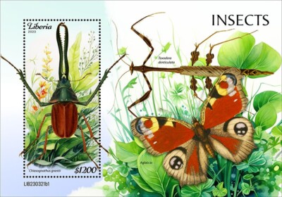2024 10 - LIBERIA - INSECTS I 1V MNH ** | eBay