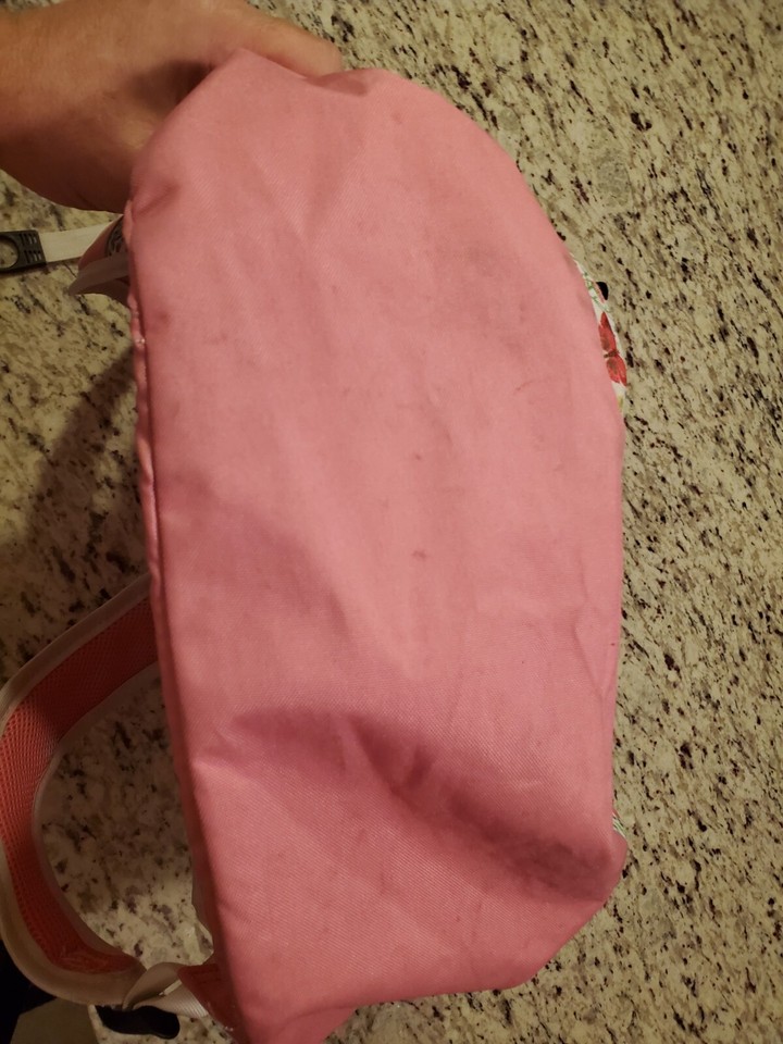 High Sierra Fatboy Laptop Backpack Flamingo/Pink butterfly | eBay