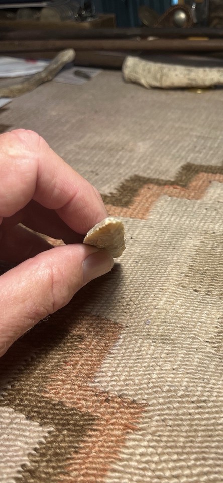 Texas Golondrina/Meserve Arrowhead Authentic Indian Artifact | eBay