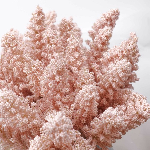 6pcs Mini Pastel Foam Reed Bunch in Peach Pink 31cmH Artificial Reed ...