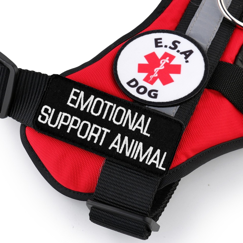 Medical Alert Service Dog Harness Vest PTSD Handle ID Pocket Mesh + 10 ...