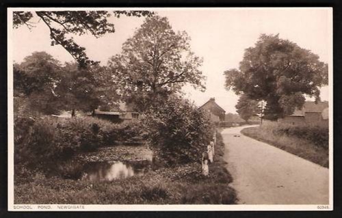 Newdigate nr Capel & Dorking. School Pond by Photochrom | eBay