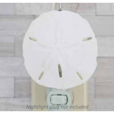 Sand Dollar Shell Ornament: Sun Catcher: Switchables Night Light Cover ...