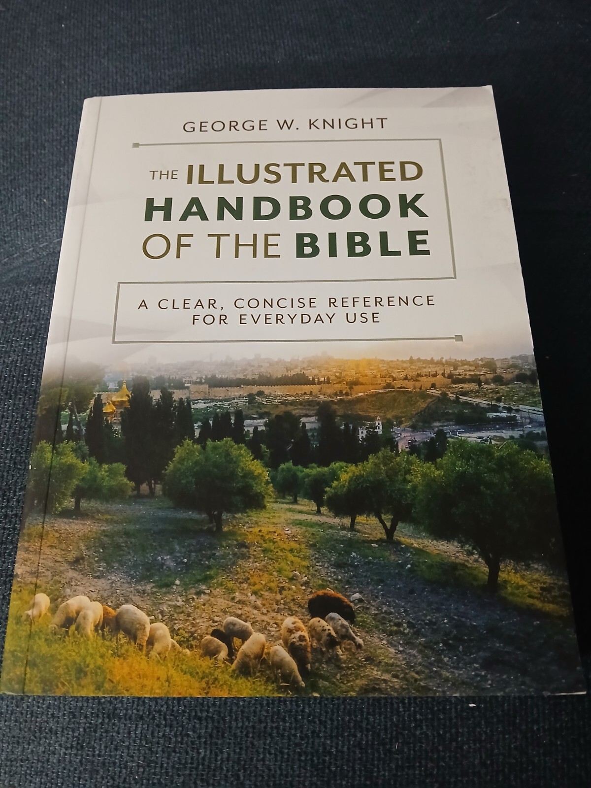 Illustrated Handbook of the Bible : A Clear, Concise Reference for ...