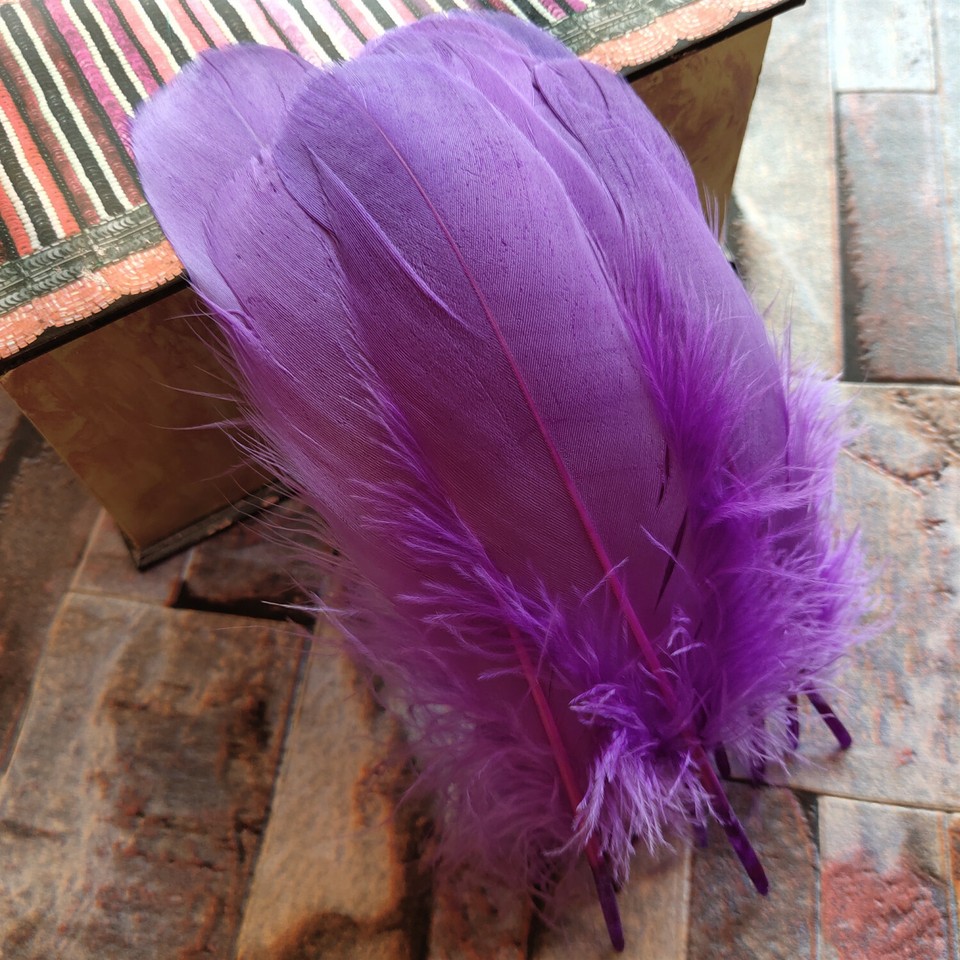 Wholesale 20-100 Pcs Pretty Natural Goose Feathers 12-18 cm/5-7 inches ...