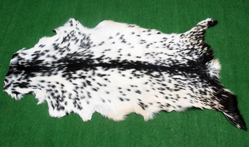 GOAT Western taxidermy Hide Rug Natural Pattern Fur Goat Hide Rode SA ...