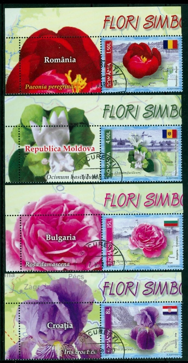 National Flower Of Croatia | Best Flower Site