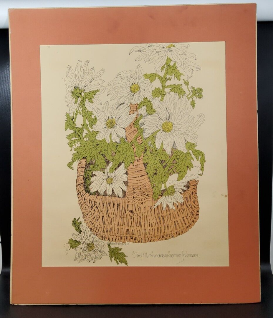 WENDY WHEELER '75 20" by 24" PRINT Wear to Print/Frame Daisy Mum | eBay