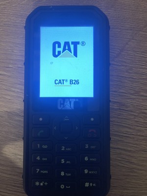 Cat B26 Smartphone | eBay