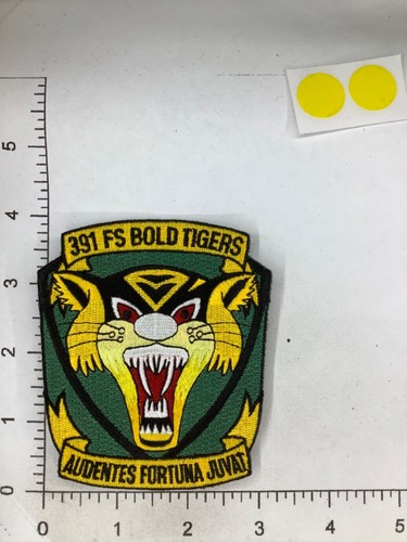 USAF 391ST FIGHTER SQD BOLD TIGERS SQUADRON PATCH | eBay