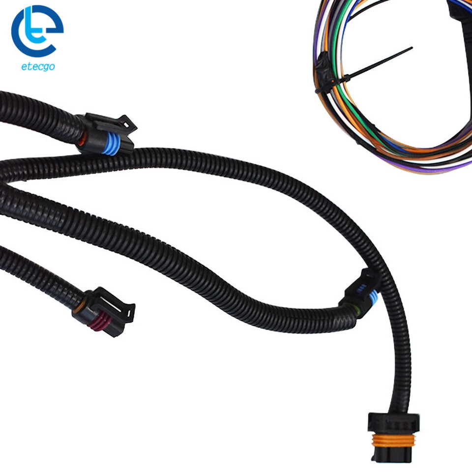 Standalone Wiring Harness For DBC LS Swap T56 Manual LS1 1997-2006 4.8 ...