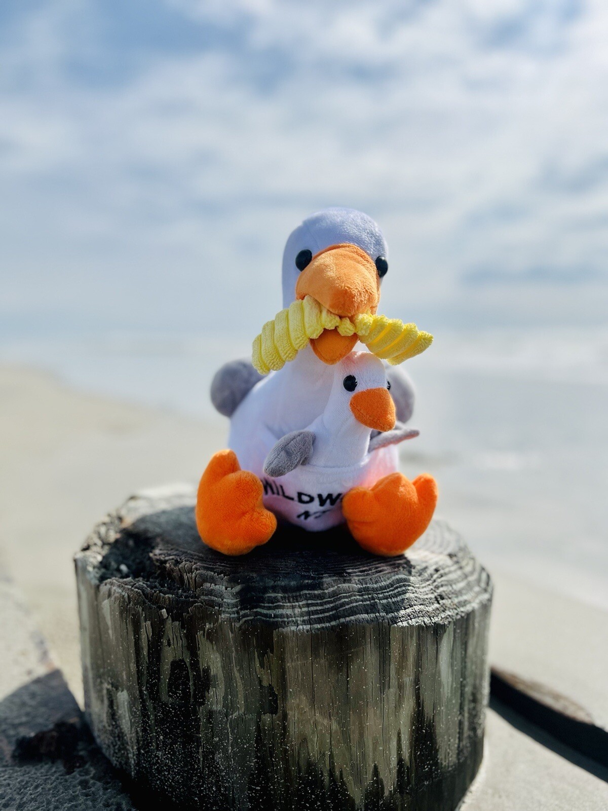 The Seagull Plush Toy with Baby Wildwood NJ - NEW 2023 | eBay