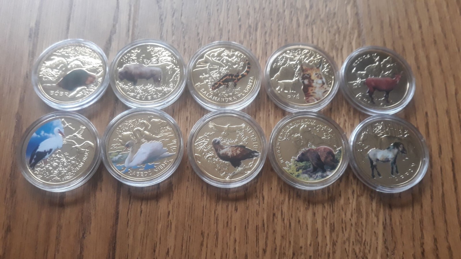Animals set 11 coins Color Bear Swan Lynx Turtle Lizard Bison Eagle ...