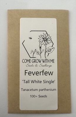 Feverfew 100+ Seeds 'Tall Single White' (Tanacetum parthenium) Herb ...