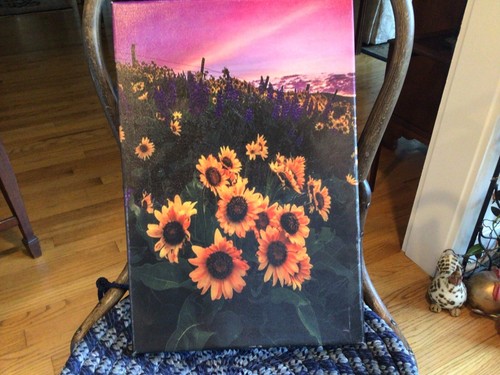 SUNFLOWERS AT SUNSET Wall Picture 8x10 Art Print STRETCHED ON CANVAS ...