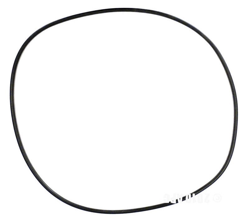 Genuine Hayward X-Stream Filter Tank Body O-Ring CCX1000G | eBay