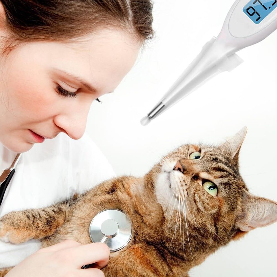 100 Pack Digital Thermometer Probe Covers Temperature Reading Sheath ...