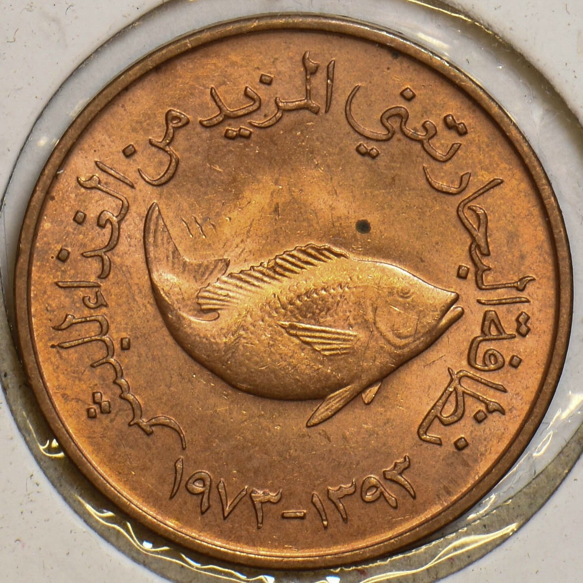 United Arab Emirates Fish Expensive Catch: Fish Prices Rise In The UAE