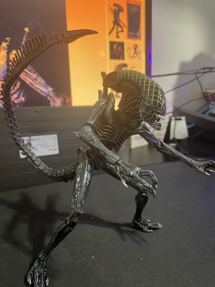 Authentic Neca AVP Grid Alien 634482516027| eBay