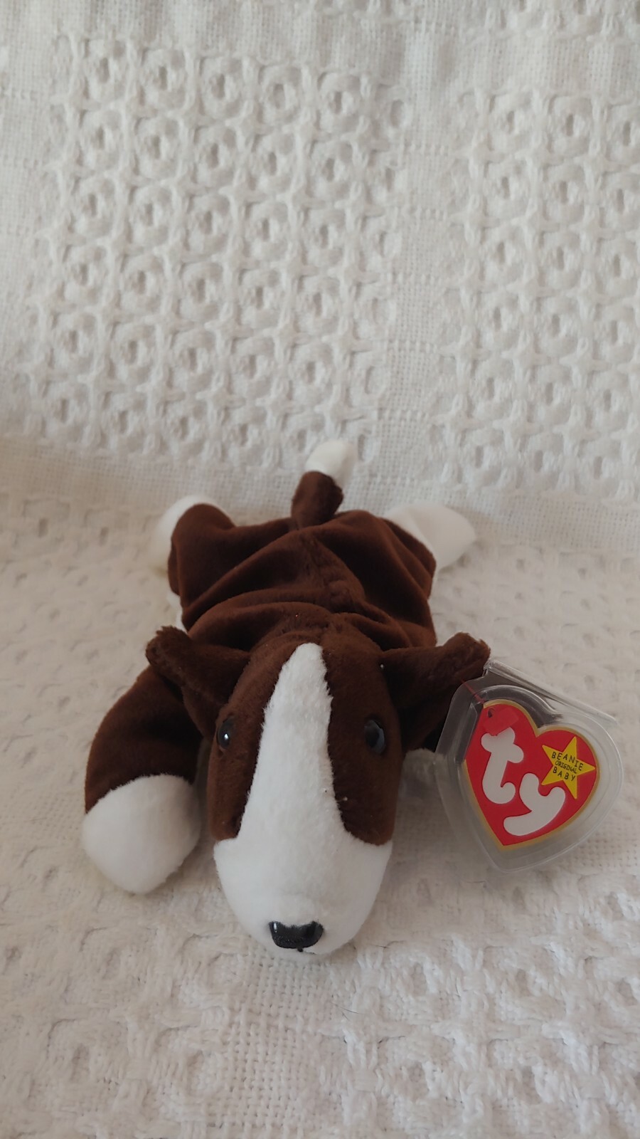 TY Bruno Beanie Baby | eBay