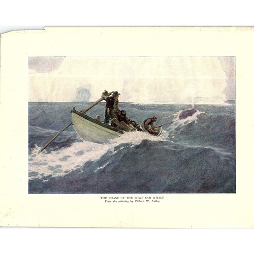 The Chase of the Bowhead Whale Clifford W Ashley Vintage Art Print 7x9 ...