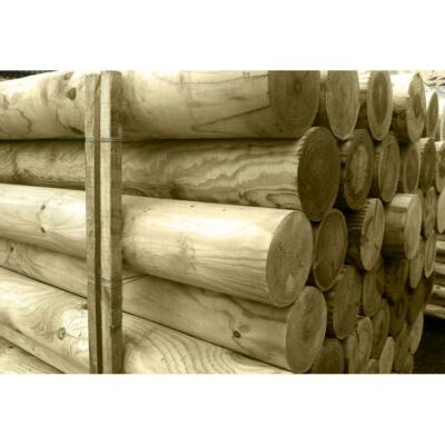 Ruby Timber Jump Poles in Pressure Treated Wood for Horse Show - 3.6m x ...