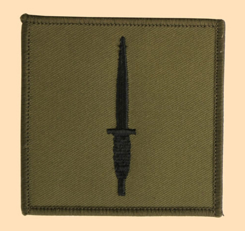 NEW OFFICIAL 3 Commando Brigade Badge | eBay