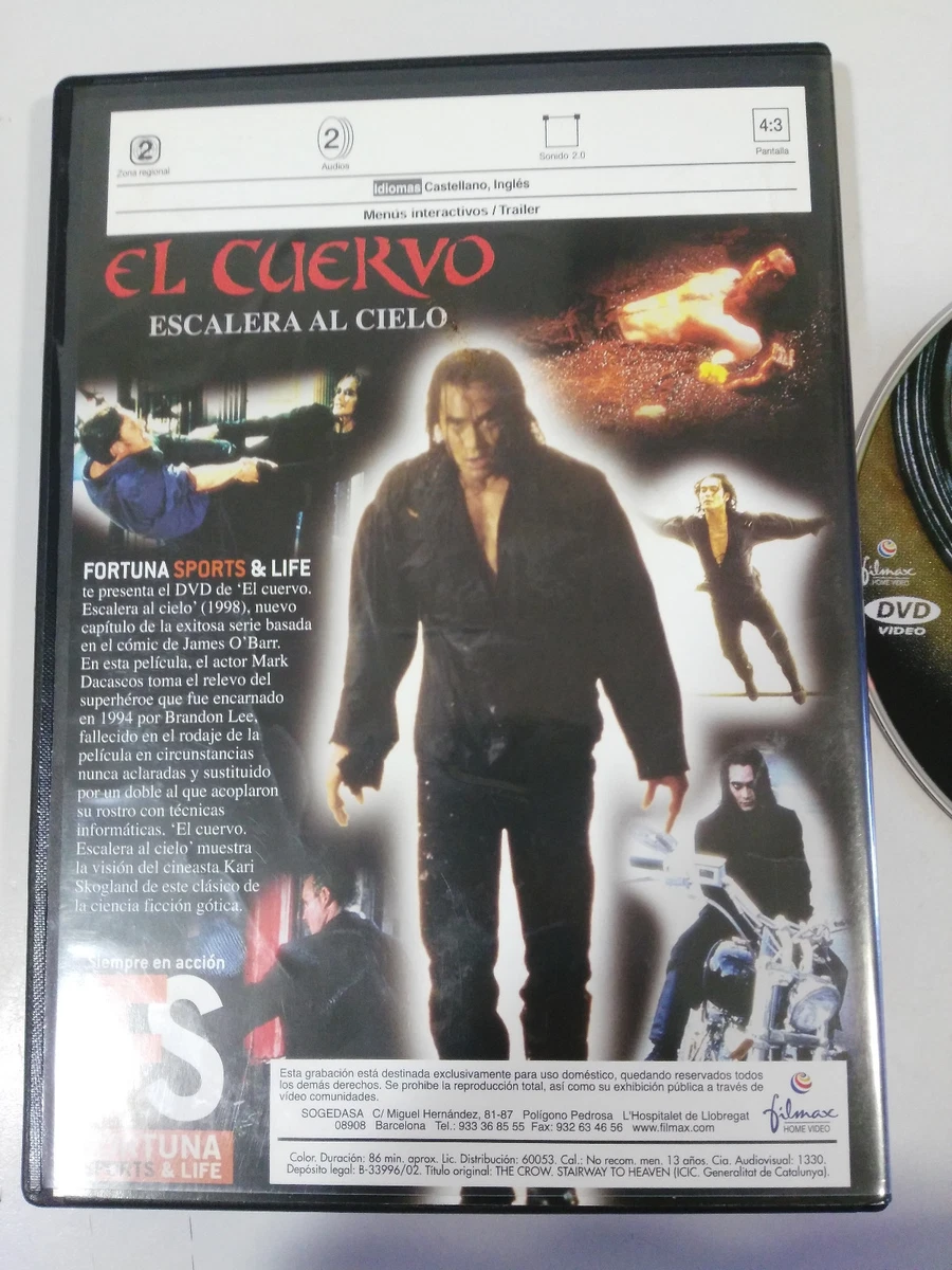 Cuerpo De Marca Dacascos