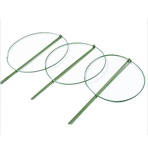 pack Of 3 Large Garden Plant Support Rings 10" Wide X 17" High 3 | eBay
