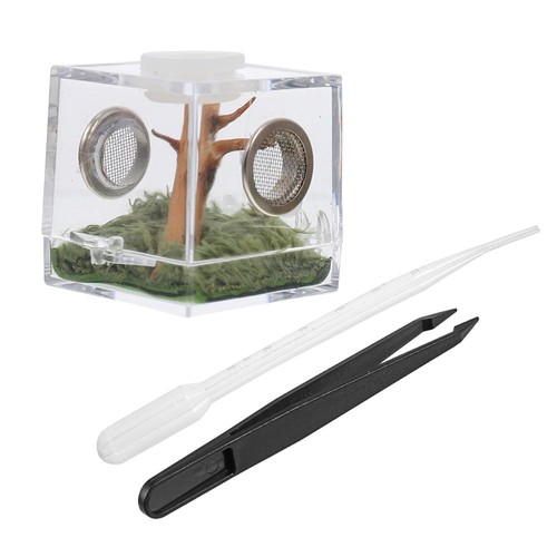 Jumping Spider Enclosure Pet Hiding House Breeding Box Terrarium for ...