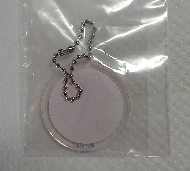 It s Small World Keychain Keychain Acrylic Charm Disneyland TDL TDR TDS ...