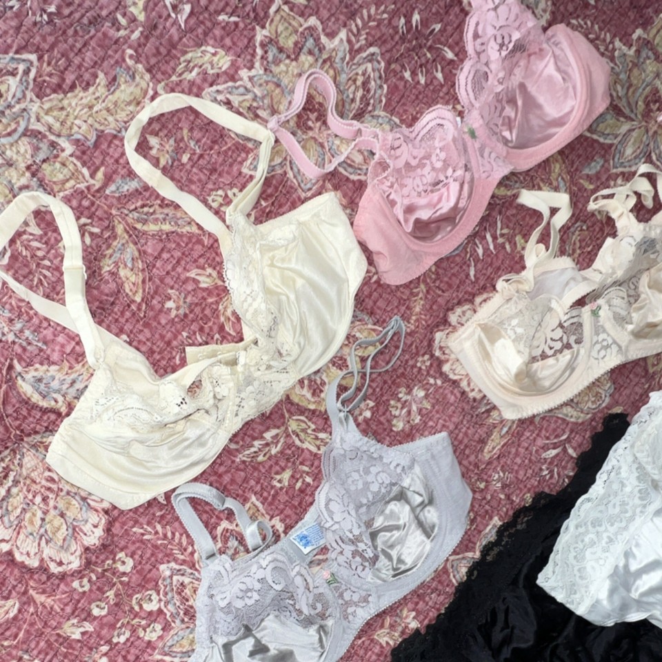 Mixed Lot Of 31 pcs Vintage Bras & Panties Chantilly Maidenform Leggs ...